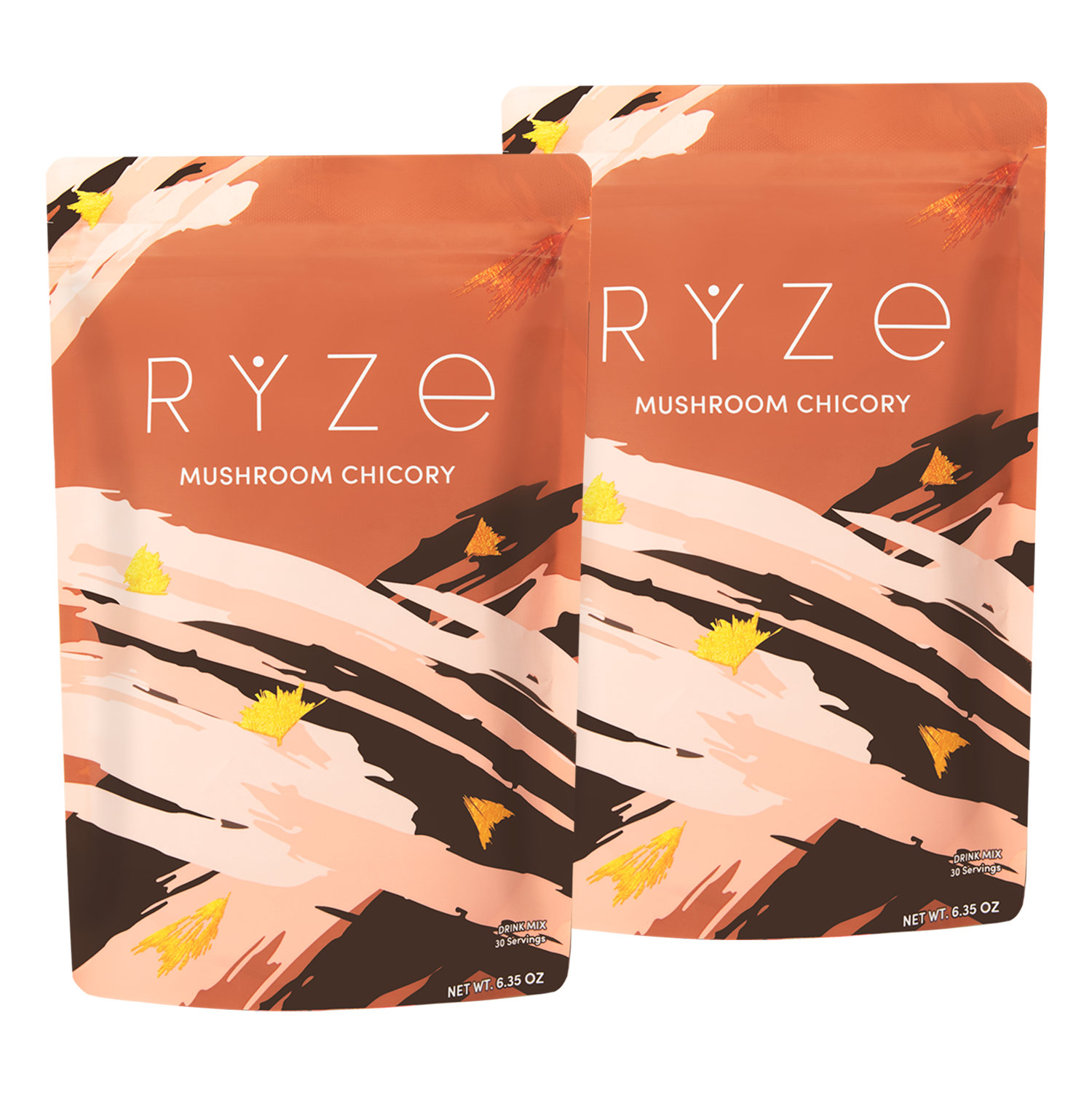 Mushroom Chicory Starter Kit: 60 servings – RYZE