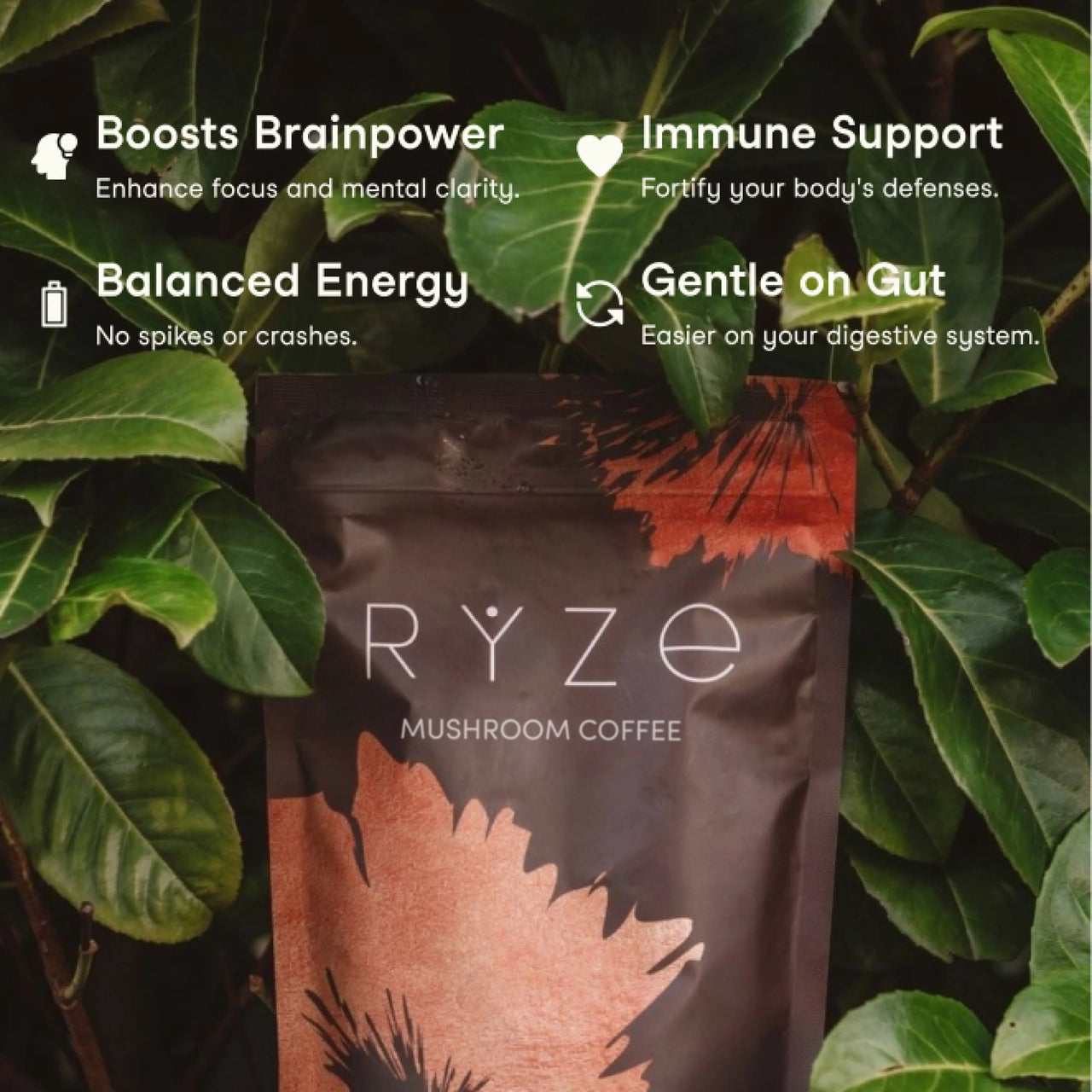 Mushroom Coffee (30 Servings) – RYZE