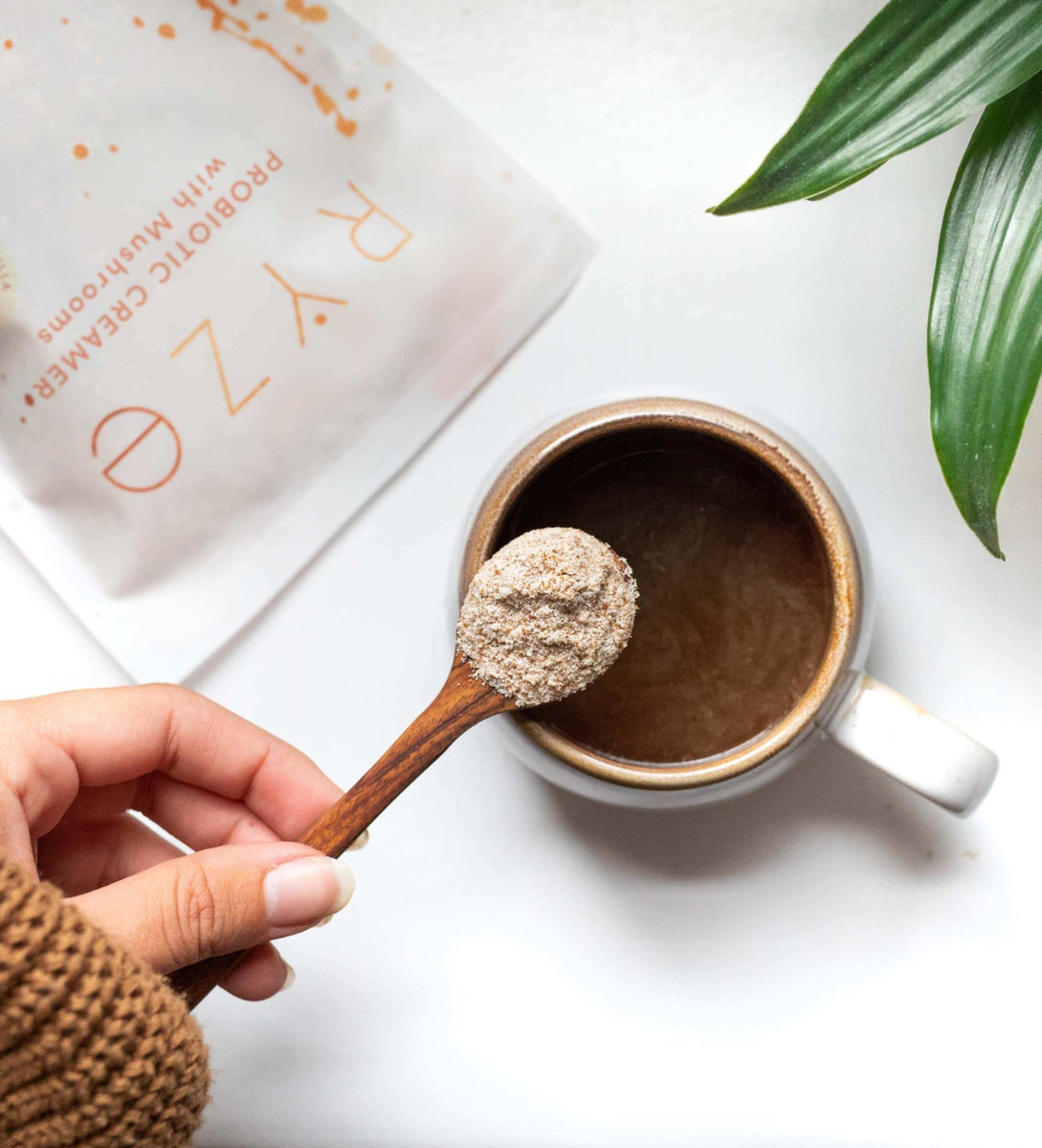 Probiotic Creamer (30 Servings) – RYZE