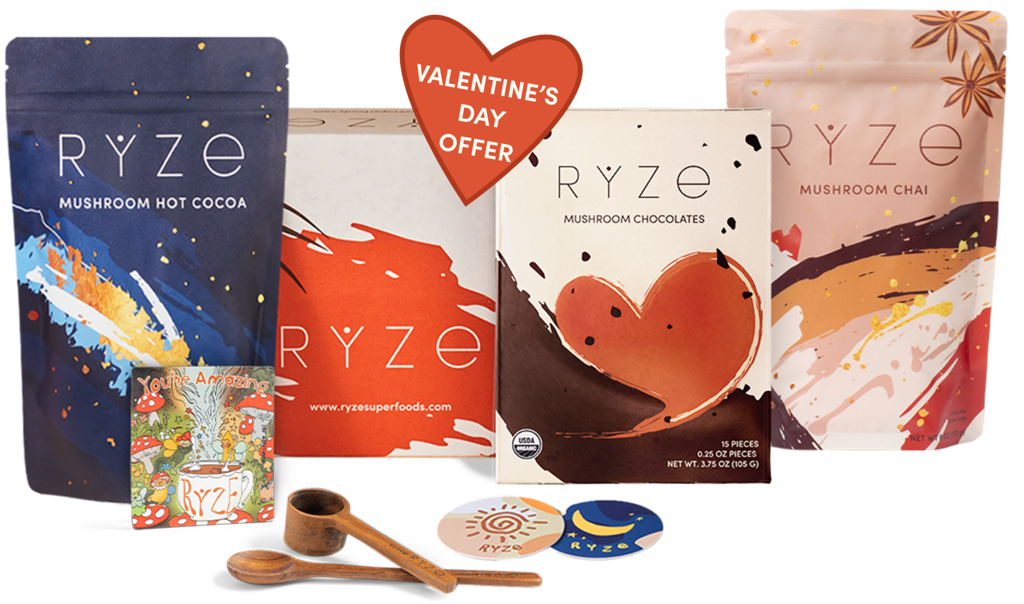 Ultimate Indulgence Bundle